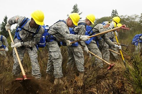 Why Do Firefighters Dig Trenches for Forest Fires? - Fire Rescue 911